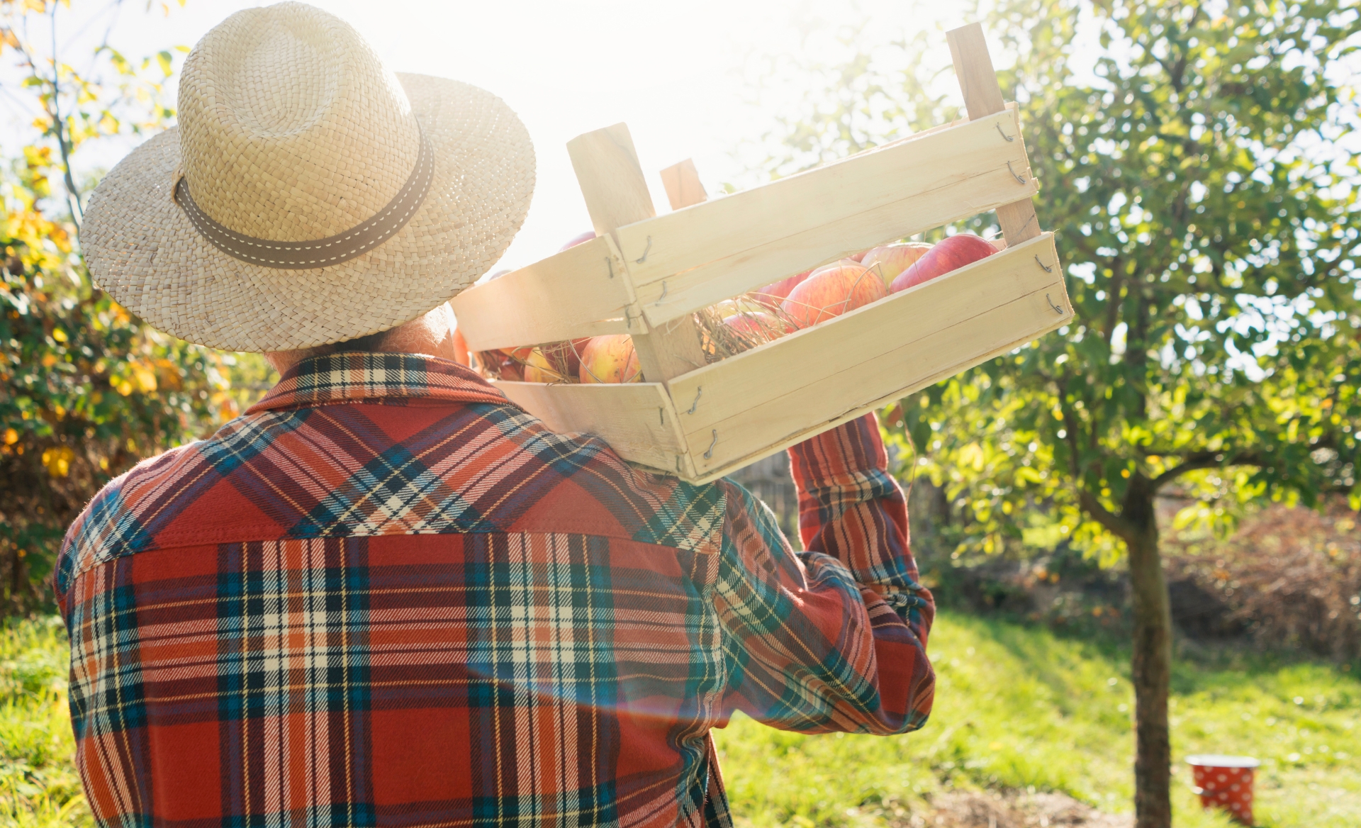 Understanding your Farm Worker ESA Exemptions in Ontario | SpringLaw
